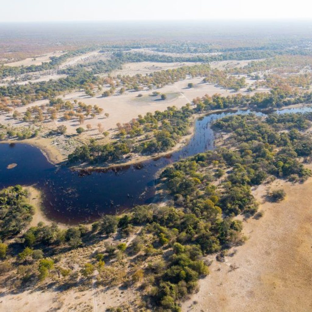 Botswana, Okavango Delta Is the Ultimate Safari Destination
