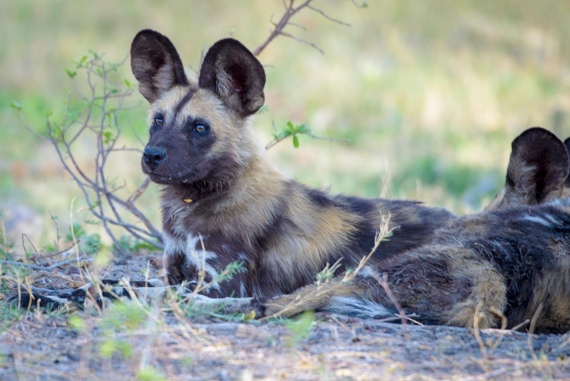15-Day Southern Africa Signature Experience